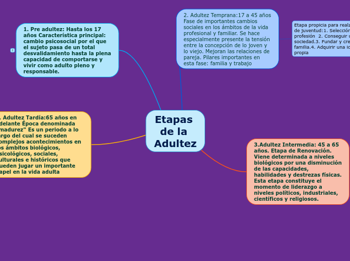 Etapas de la Adultez - Mind Map